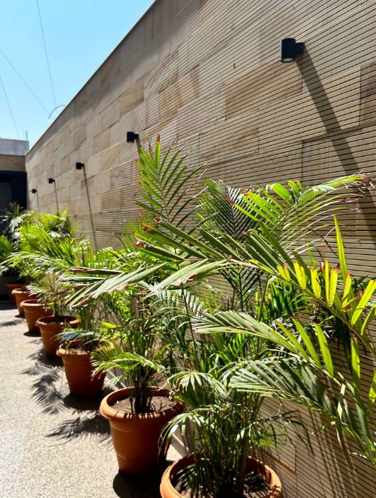 Four Petals Executive